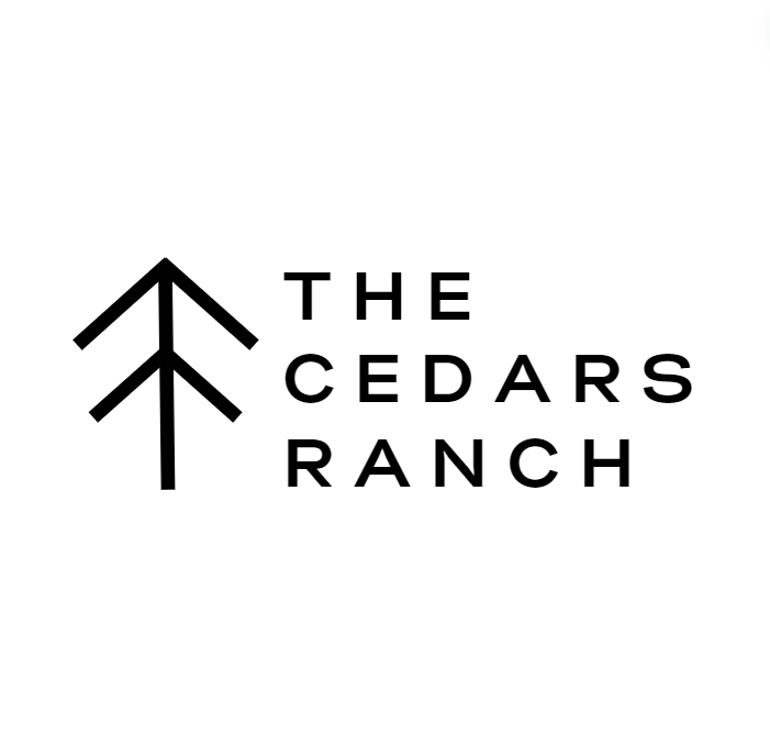 The Cedars Ranch – Wed Society® Austin